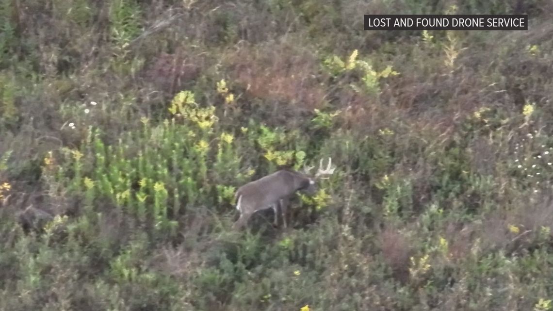 Drone company helps Ohio hunters track deer, find missing pets | wltx.com