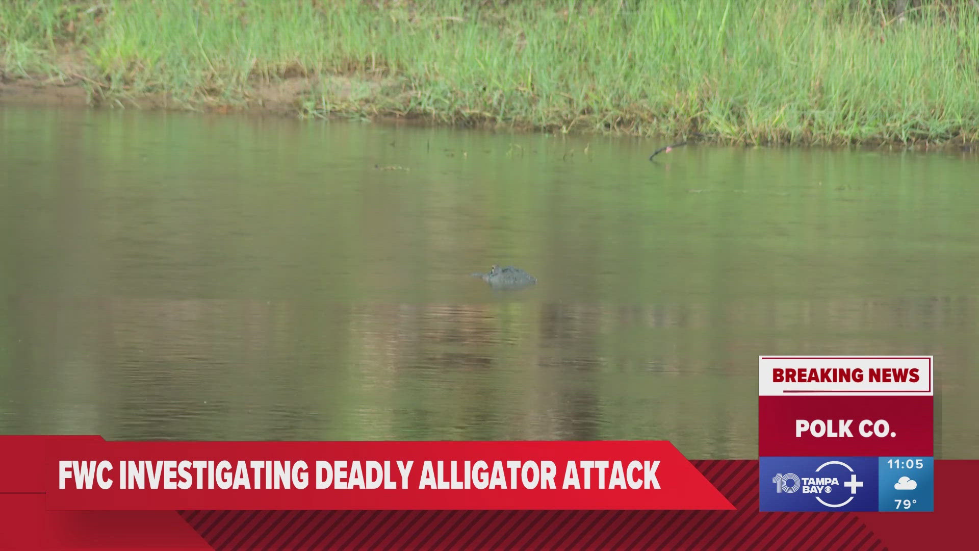 1 dead after alligator attack in Florida lake | wltx.com