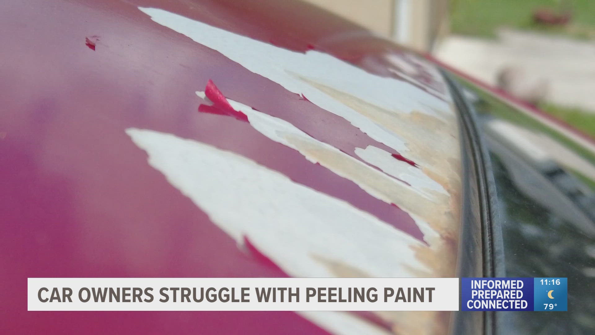 Car paint-peeling problem affecting thousands in Florida | wltx.com