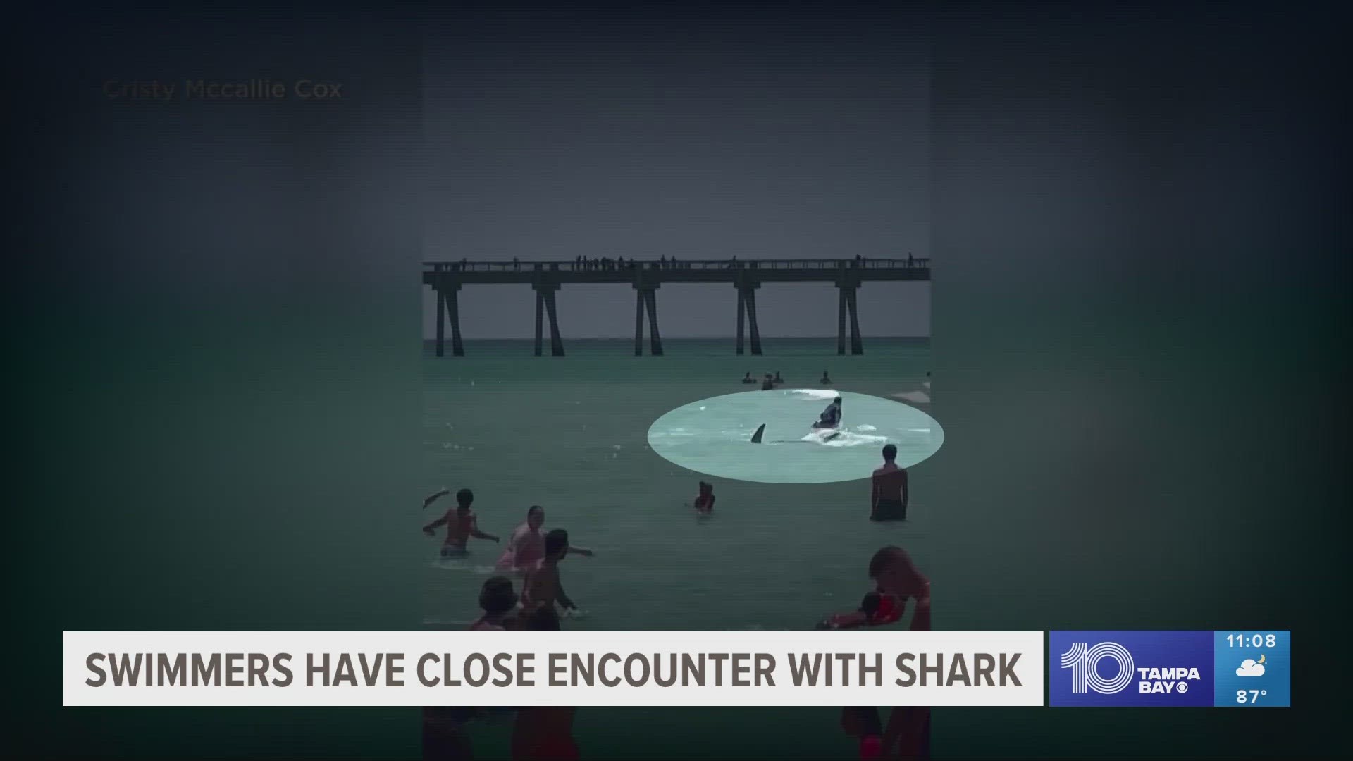 Tips on how to avoid a shark attack | wltx.com
