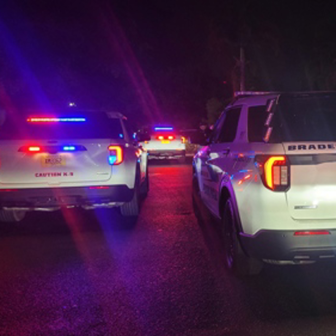 Mother arrested after 4-year-old drowns at pool party, police say ...