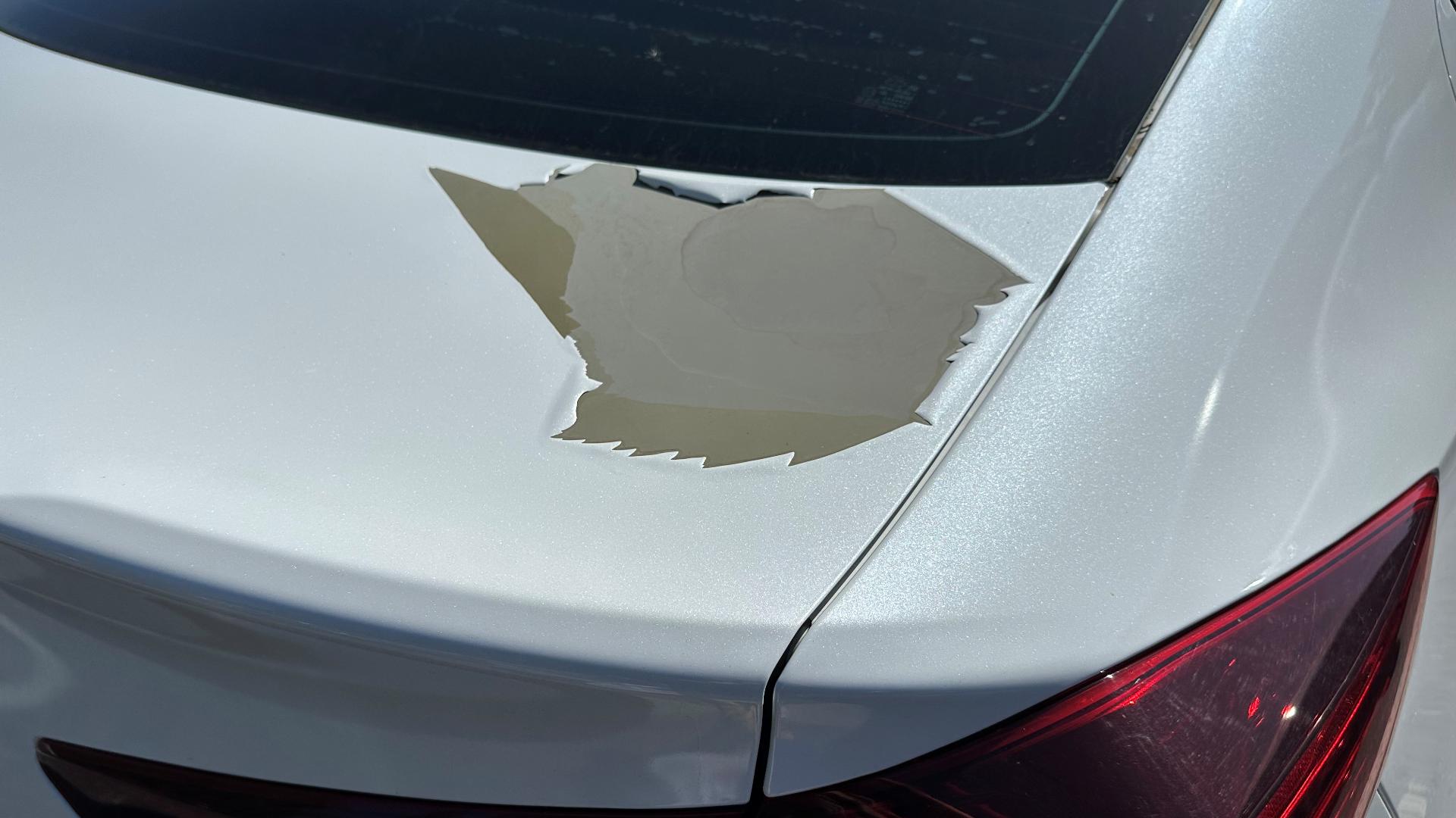 Car paint-peeling problem affecting thousands in Florida | wltx.com