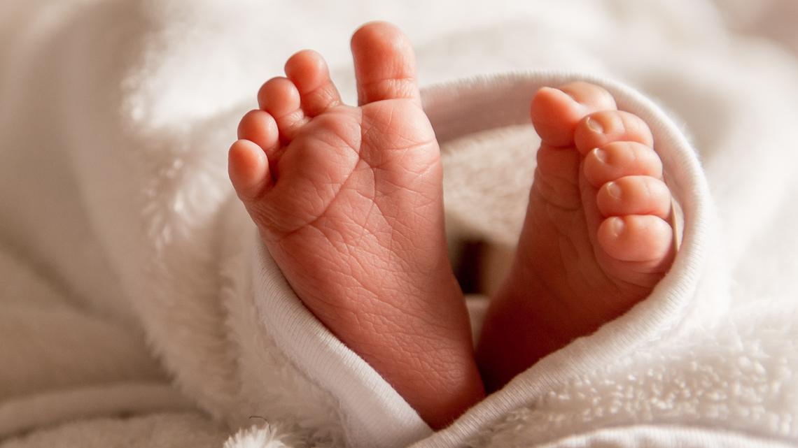Florida couple sues IVF clinic after genetic testing revealed the baby ...