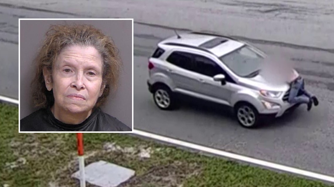 Palm Coast 76-year-old charged in hit-and-run | wltx.com