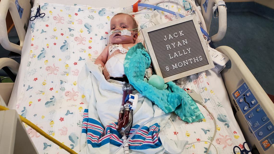 8-month-old Jack Lally fights as he waits for heart transplant | wltx.com