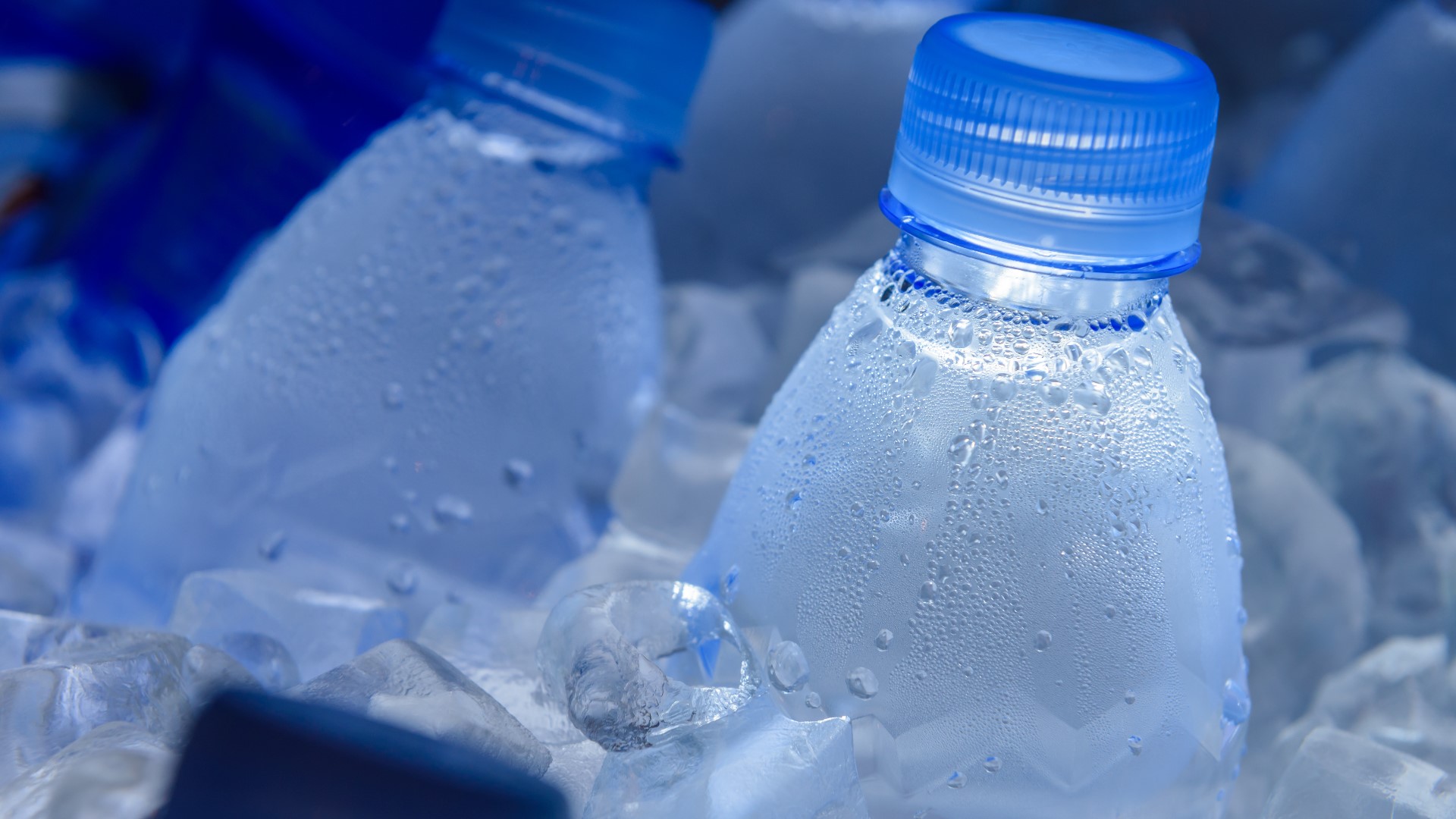 Scientists find alarming amount of plastic in bottled water | wltx.com