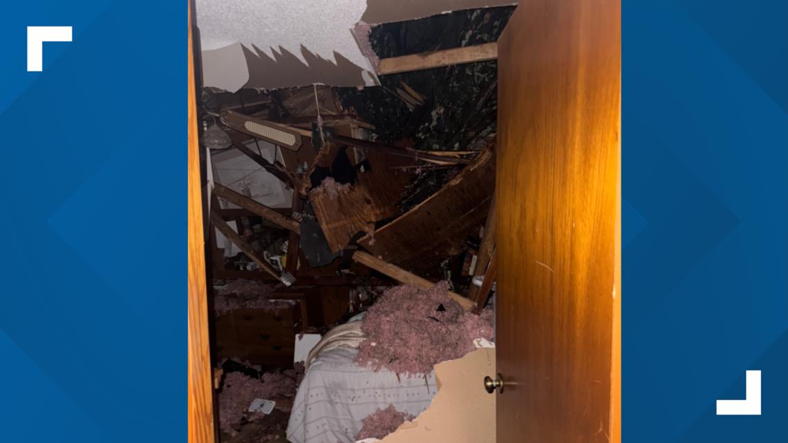 Tommy Brailey’s car, remains found after seven years in Sumter swamp ...