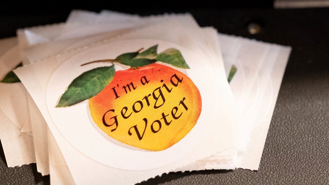 Brian Pritchard Georgia GOP illegal voting case | wltx.com