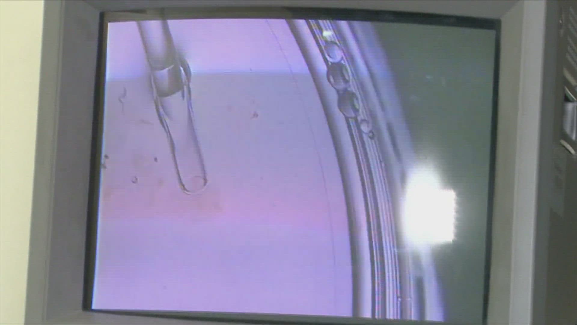 Alabama Supreme Court rules that frozen embryos are ‘children’ | wltx.com